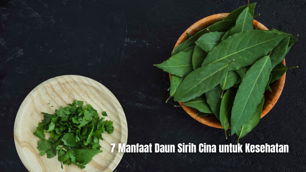 7 Manfaat Daun Sirih Cina untuk Kesehatan, dari Jerawat hingga Diabetes