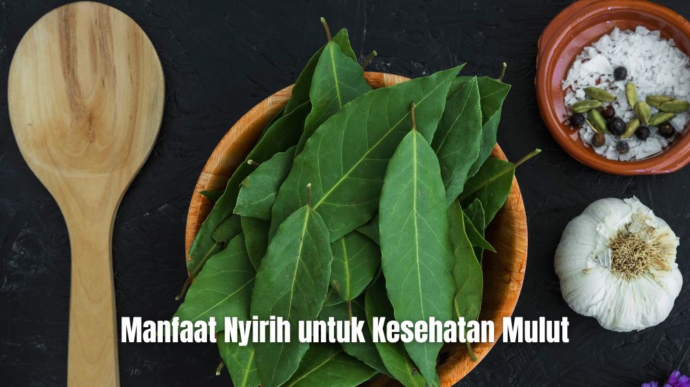 Meski Sering Dianggap Kuno, Ternyata Ini 4 Manfaat Nyirih untuk ...
