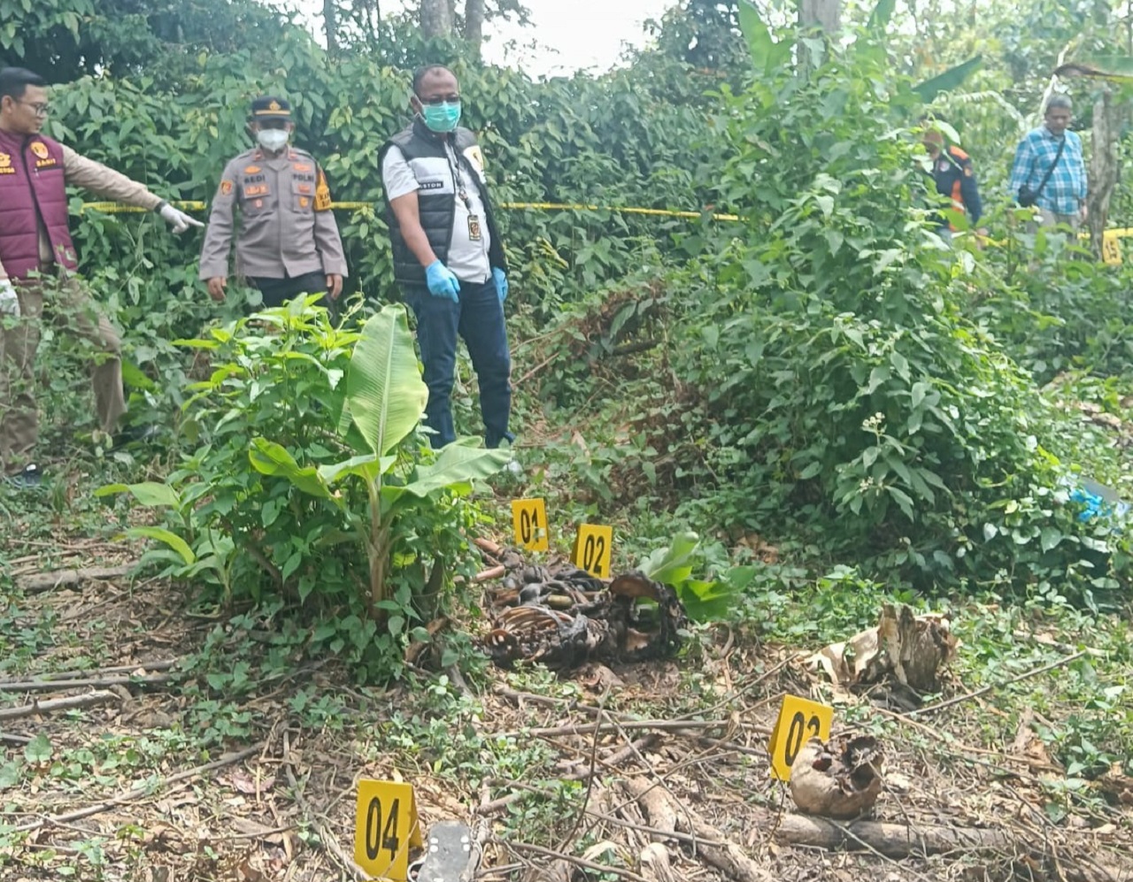Identitas Kerangka Manusia di Kebun Pisang Terungkap Melalui Tato di ...