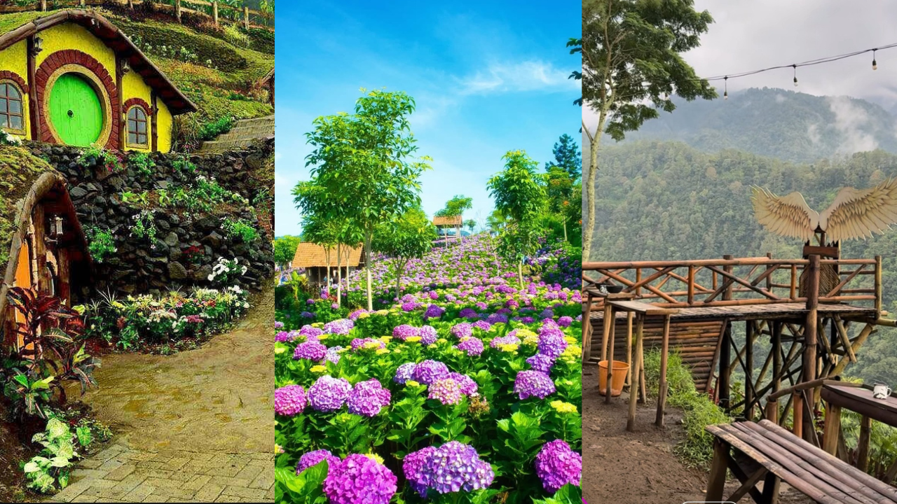 Place to Go Malang! Nikmati Keindahan Bunga & Alam di Batu Flower ...