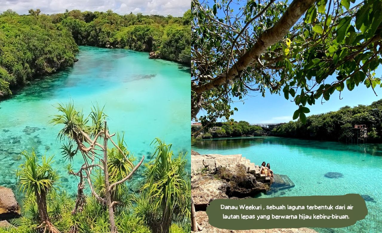 Danau Weekuri Lagoon: Surga Tersembunyi di Sumba dengan Air Biru ...